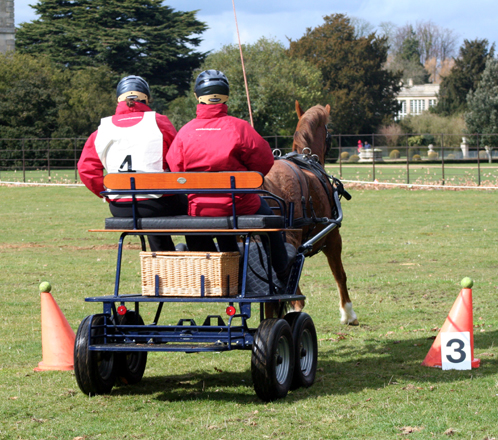Fun Bug - Owners Stable - Bennington Carriages