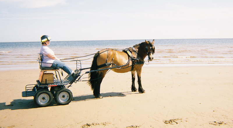 Fun Bug - Owners Stable - Bennington Carriages
