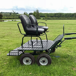 Bennington Fun Bugs - Bennington Carriages