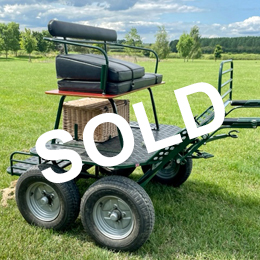 Bennington Fun Bugs - Bennington Carriages