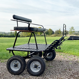 Bennington Fun Bugs - Bennington Carriages