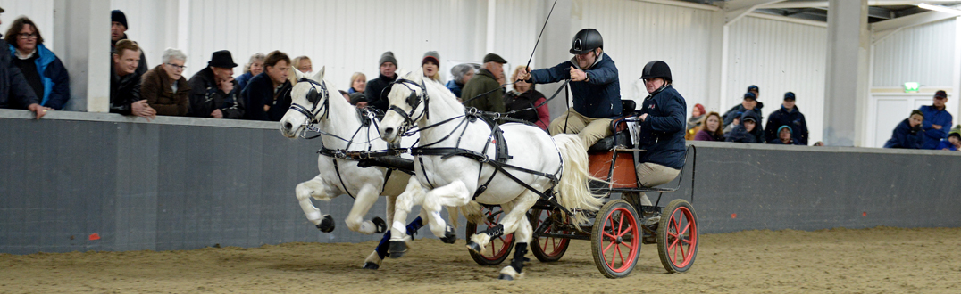 Home - Bennington Carriages